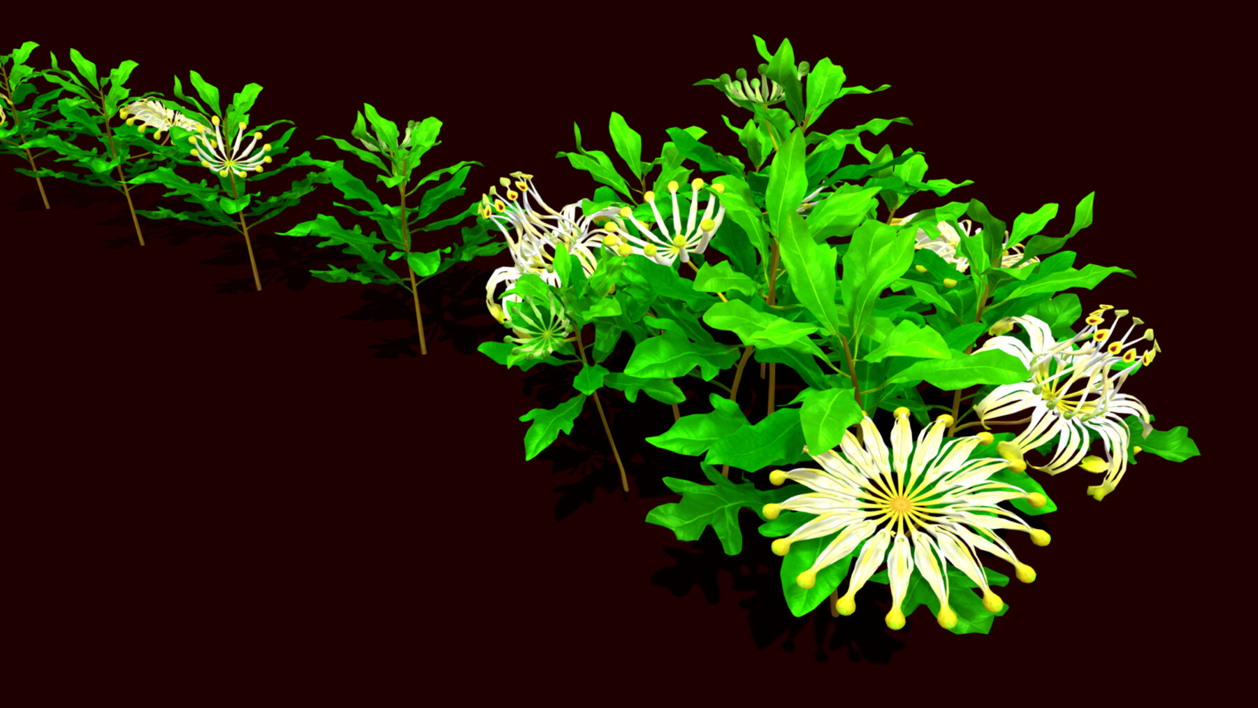 ArtStation - Flower Firewheel Tree | Game Assets