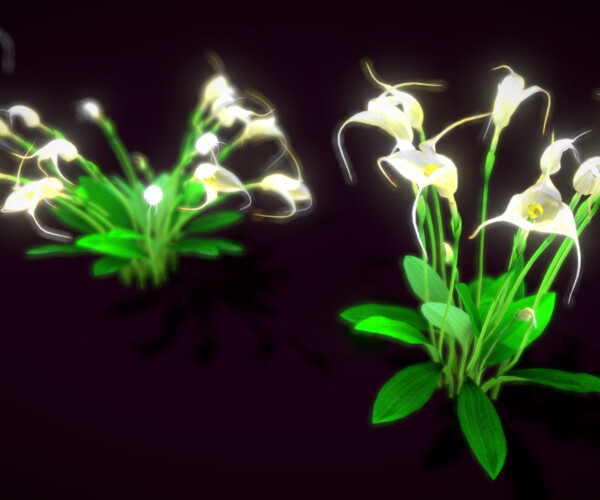 ArtStation - Flower Masdevallia Limax | Game Assets