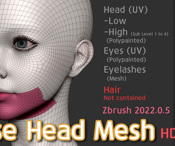 ArtStation - Head Base Mesh (HD) | Resources