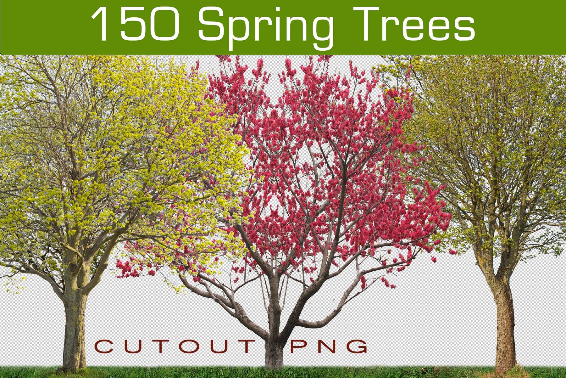ArtStation - 150 Realistic Tree Clipart, Forest Digital Tree Cut Out ...
