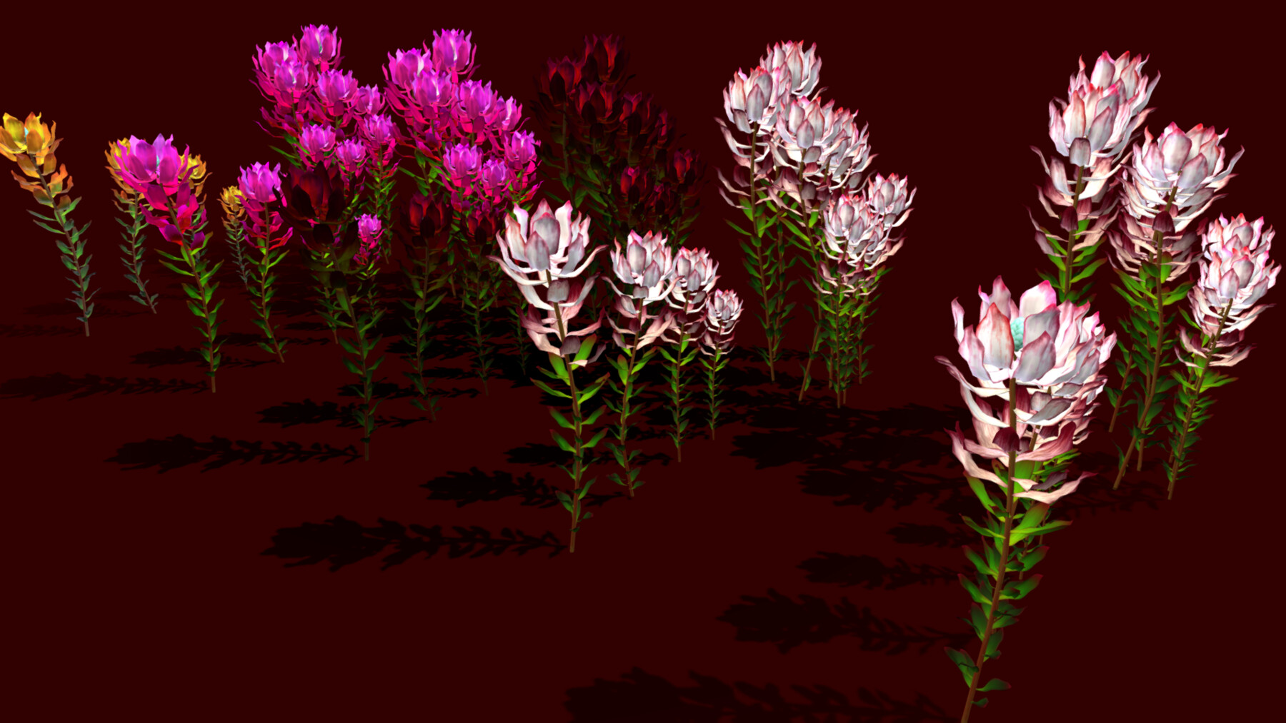ArtStation - Flower- Leucadendron | Game Assets