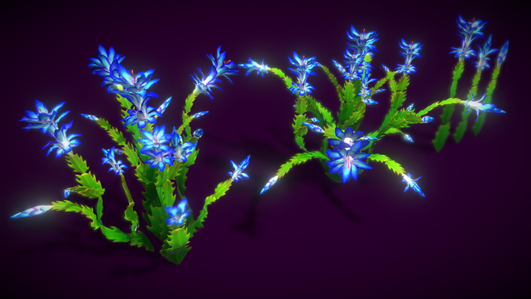 ArtStation - Flower Christmas Cactus | Game Assets