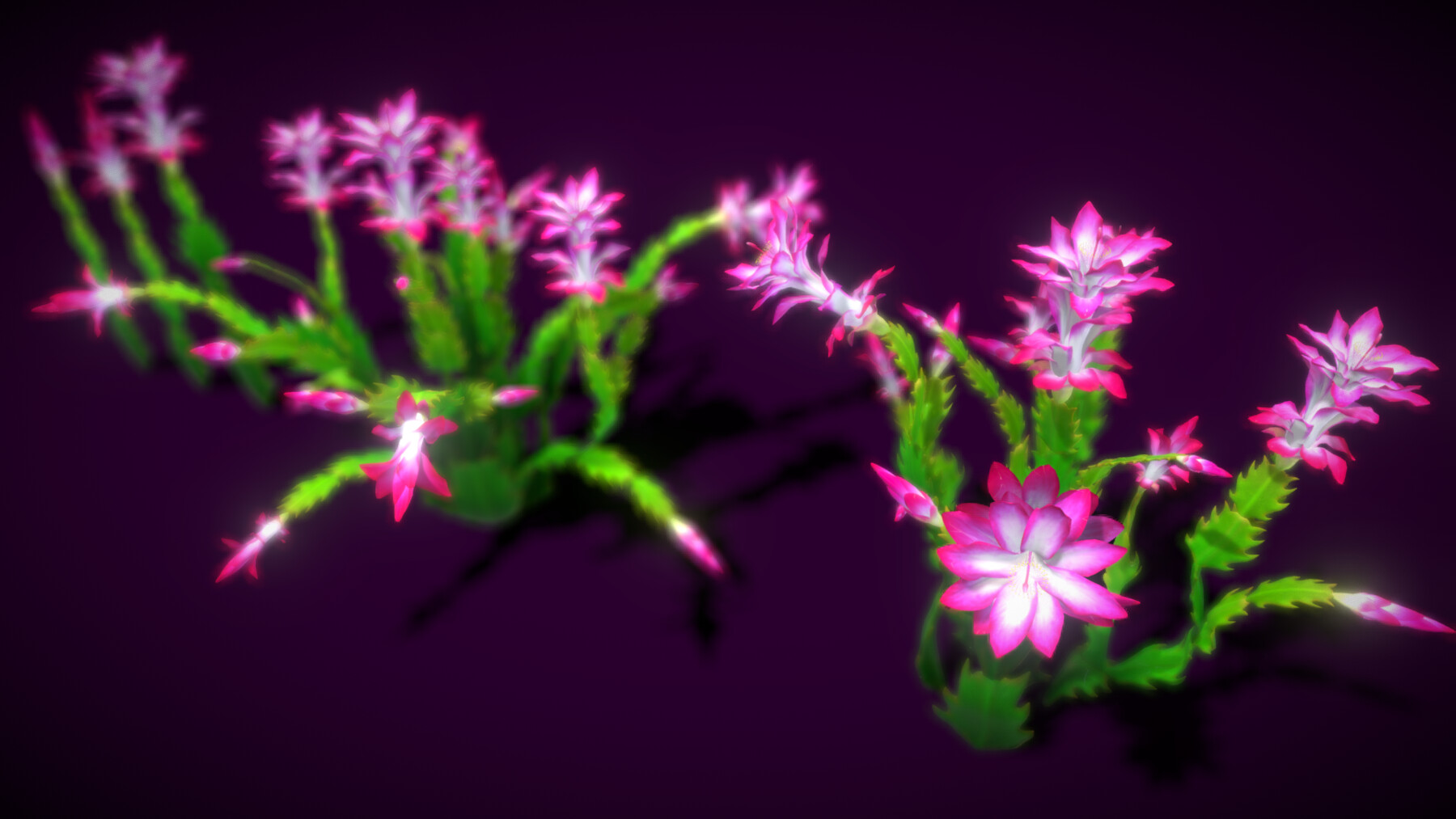 ArtStation - Flower Christmas Cactus | Game Assets