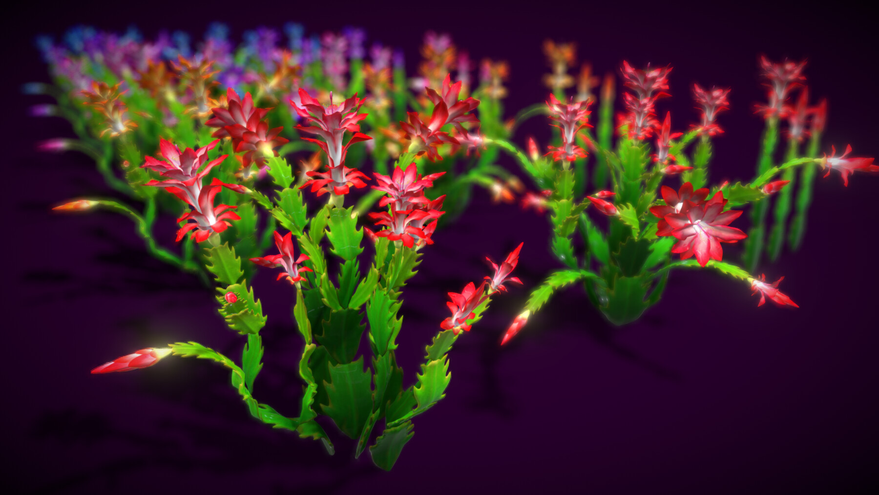 ArtStation - Flower Christmas Cactus | Game Assets