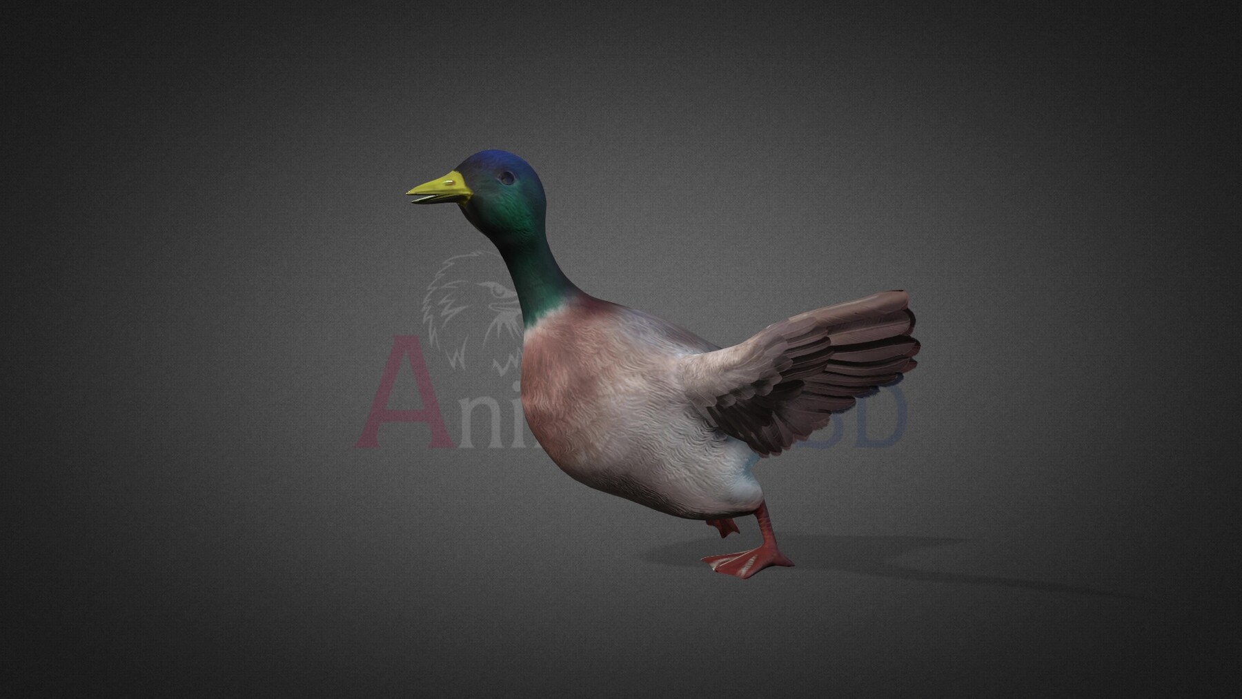 ArtStation - Duck1-Run | Game Assets