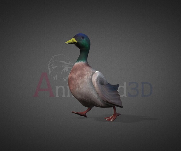 ArtStation - Duck1-Walk | Game Assets