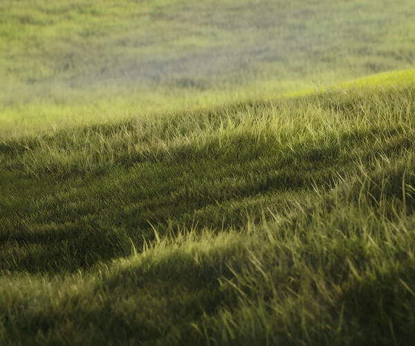 ArtStation - UE5 Grass Material | Game Assets