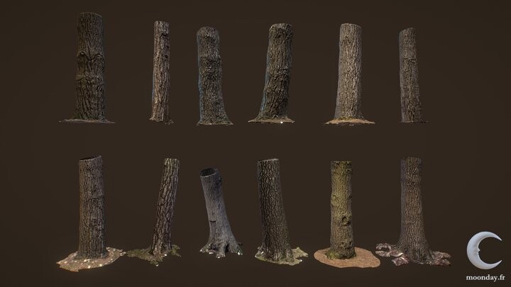 ArtStation - 3D scanned Tree trunks - Pack 01 | Resources