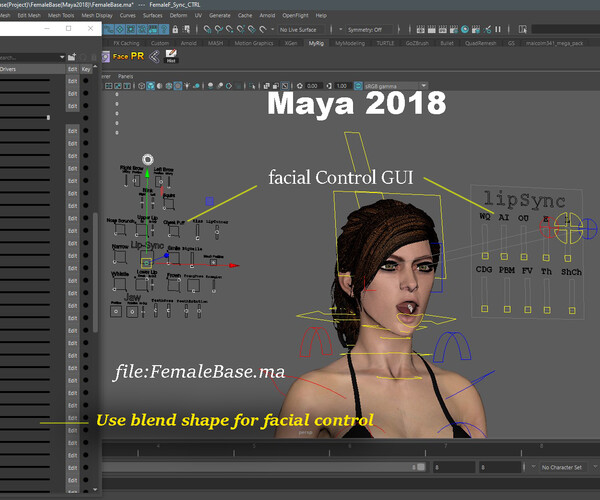 ArtStation - Female Base character(Rig) | Game Assets