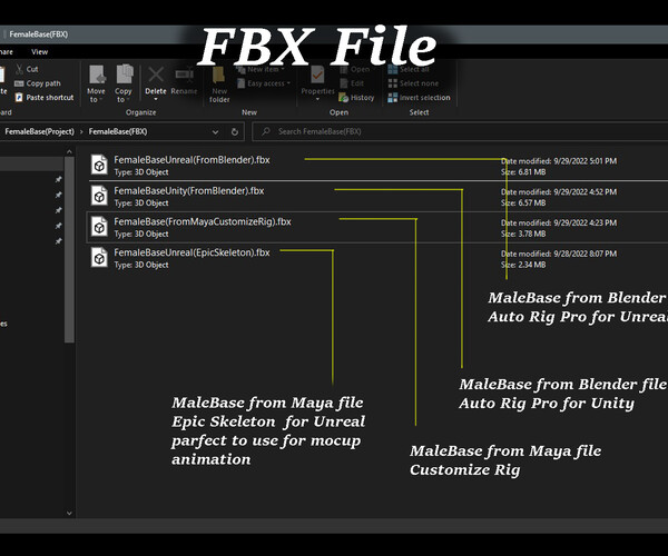 ArtStation - Female Base character(Rig) | Game Assets