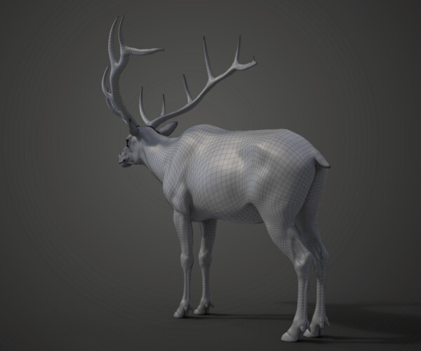 ArtStation - Male Elk Animated | VFX Grace | Game Assets