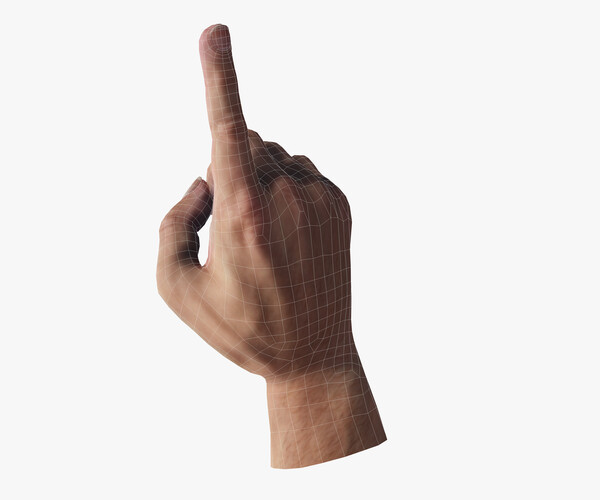 ArtStation - Pointing Hand Motion Gesture point Low-poly 3D model ...