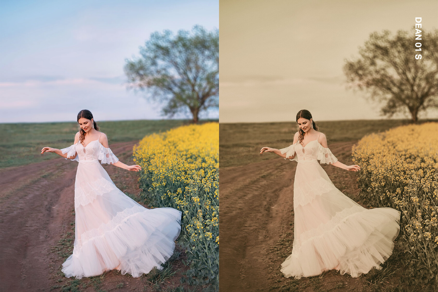 ArtStation - 25 Warm and Moody LUTs and Lightroom Presets | Resources