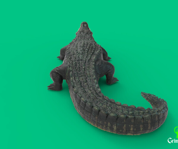 Artstation Black Caiman Alligator Game Assets