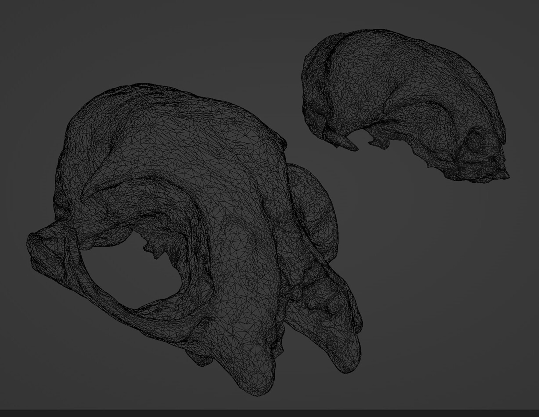 Artstation Cat Skulls Game Assets