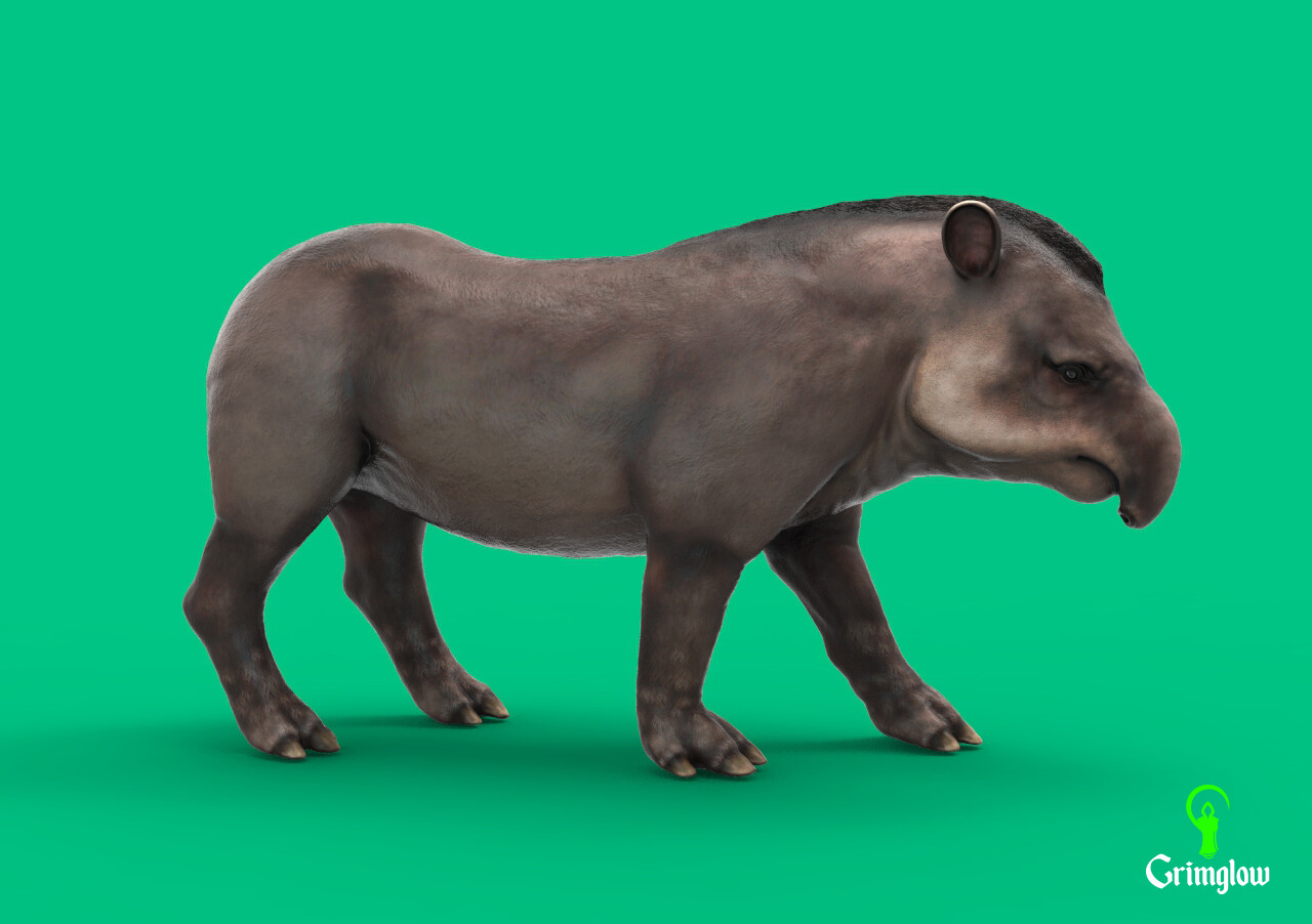 ArtStation - Tapir | Game Assets