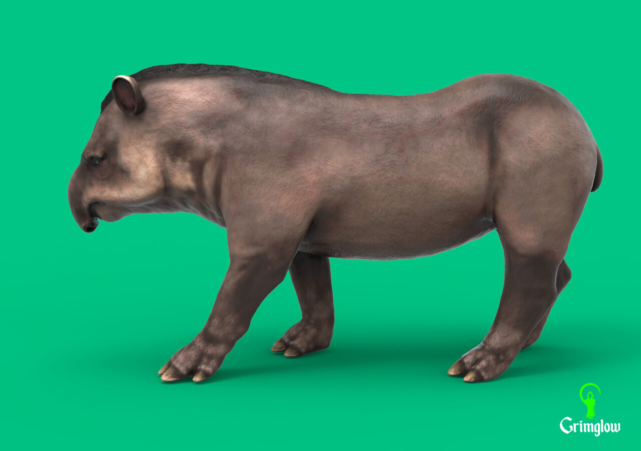 ArtStation - Tapir | Game Assets