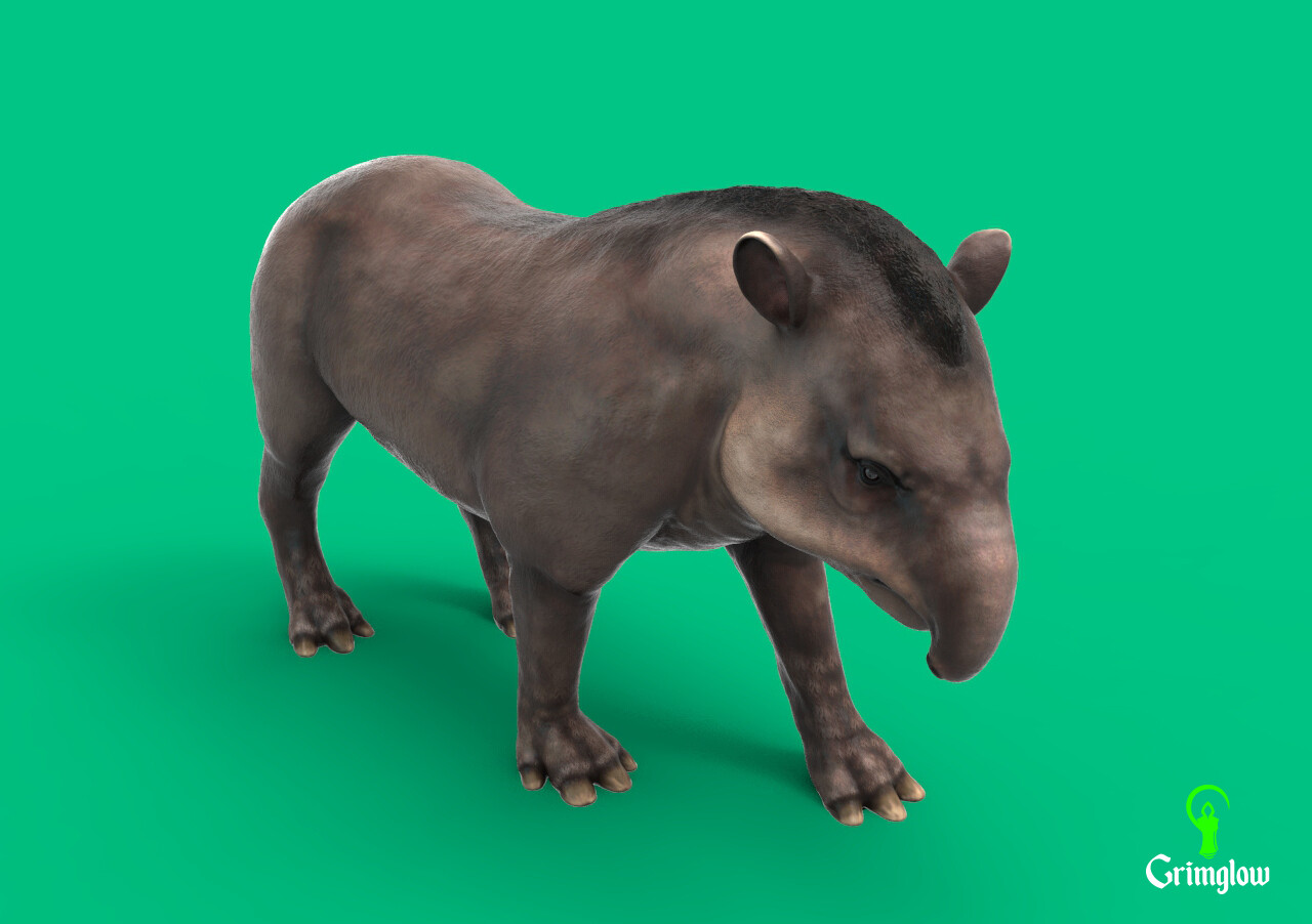ArtStation - Tapir | Game Assets