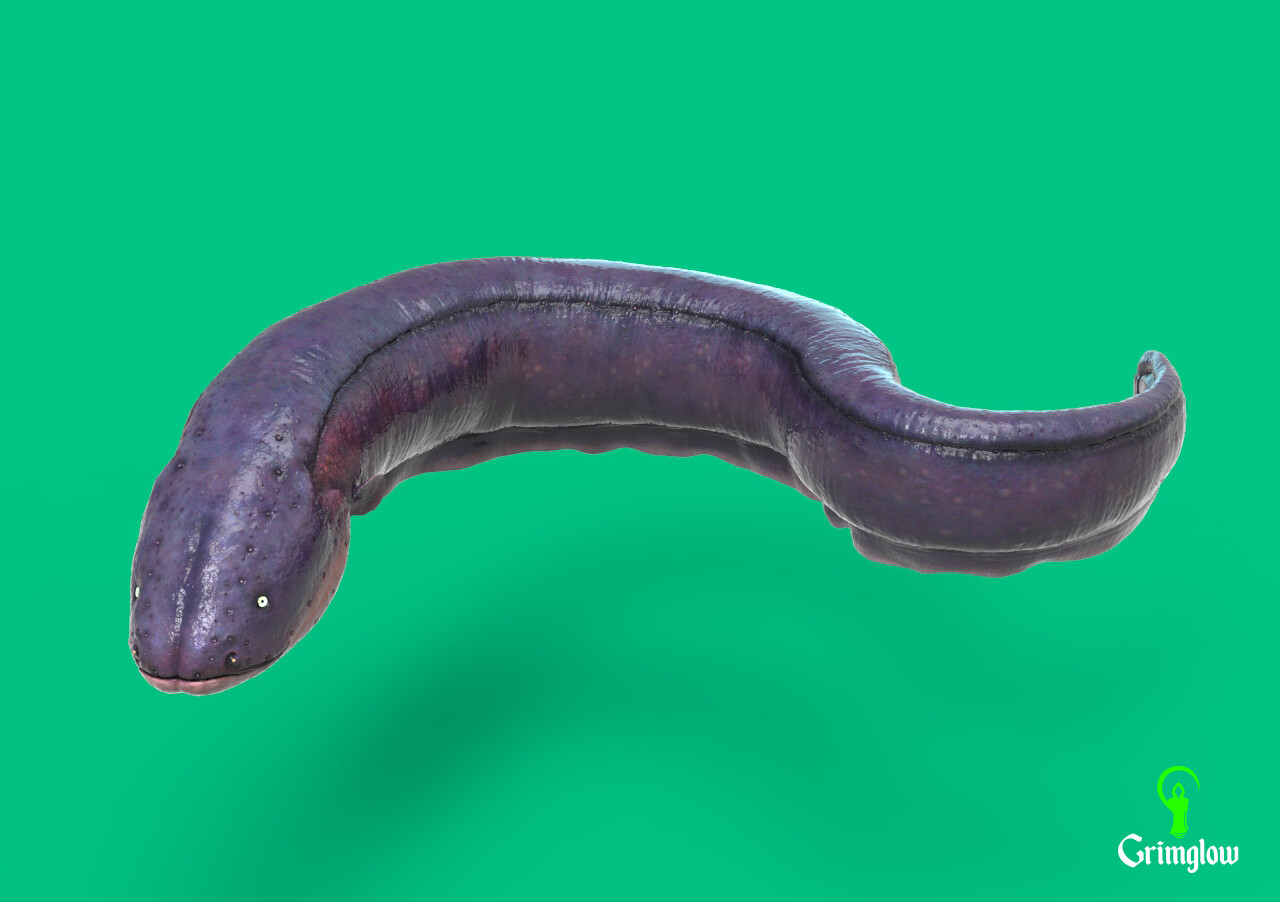 ArtStation - Electric Eel | Game Assets