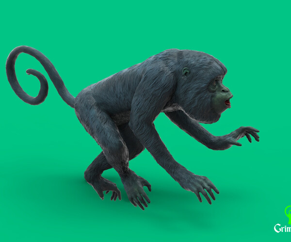 ArtStation - Howler Monkey (Black) | Resources