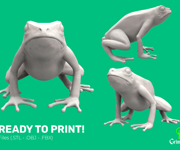 ArtStation - Golden dart frog | Resources