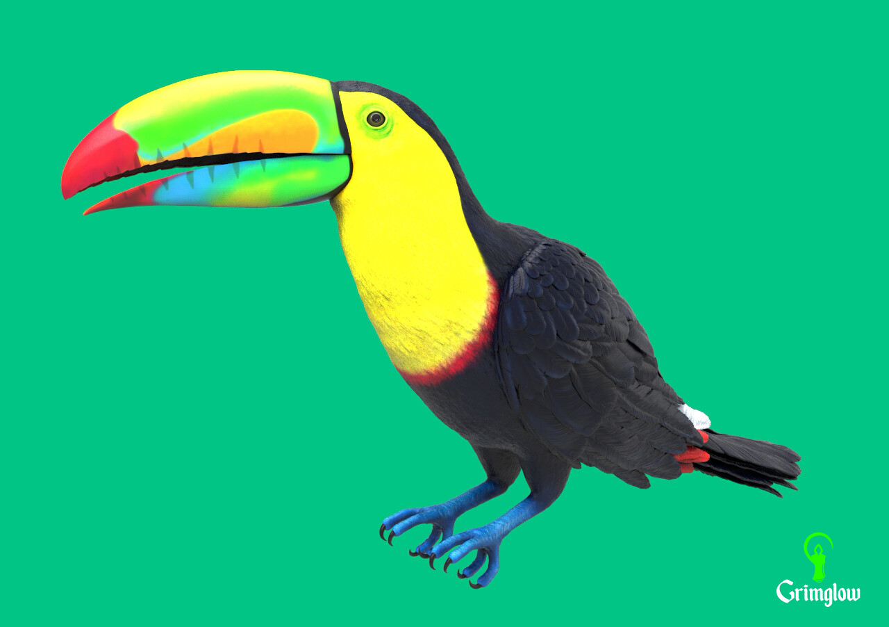 ArtStation - Keel-billed Toucan | Resources