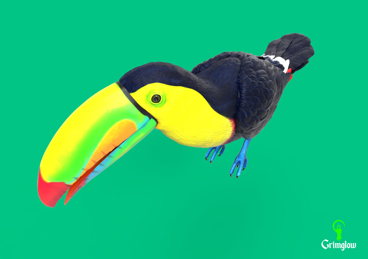 ArtStation - Keel-billed Toucan | Resources