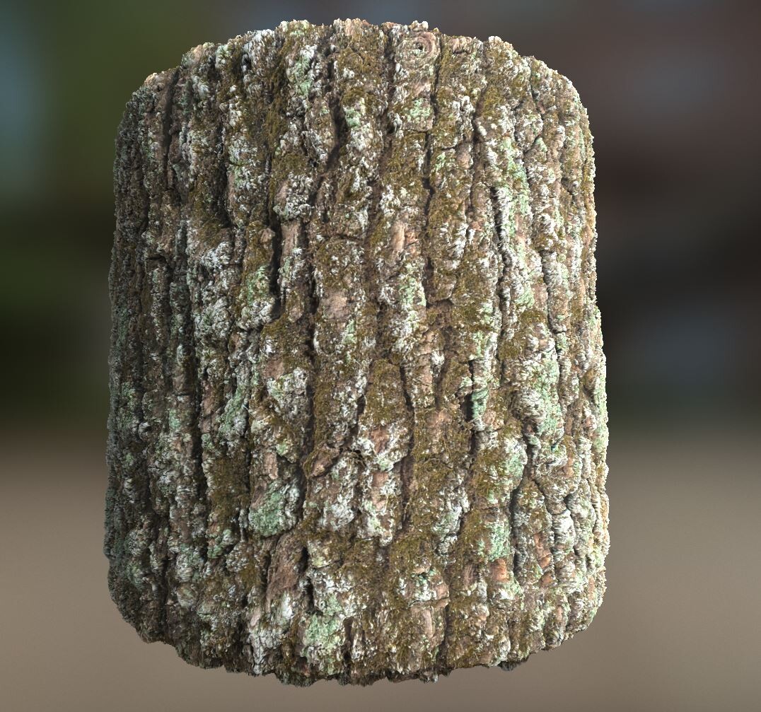 ArtStation - 10 Tree Bark Material (.sbsar file + 4k PBR Textures ...