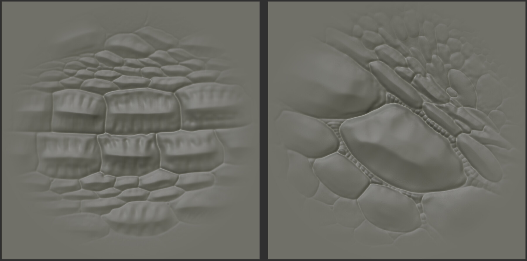 ArtStation - Reptile Scales / Skin Alphas V1 (17 Alphas) (Hand Sculpted ...