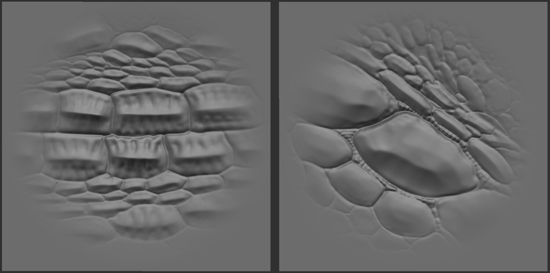 ArtStation - Reptile Scales / Skin Alphas V1 (17 Alphas) (Hand Sculpted ...