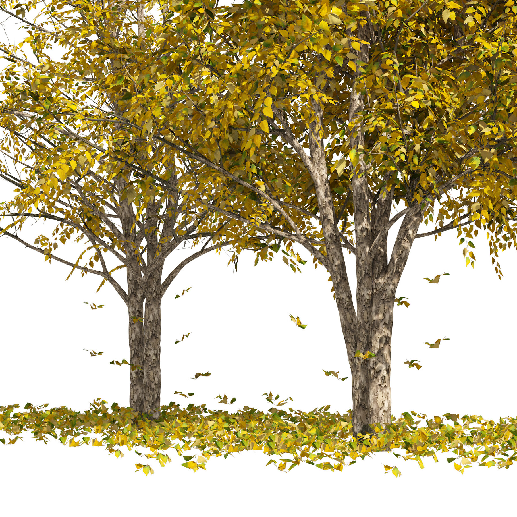 ArtStation - Fall Water birch Trees | Resources