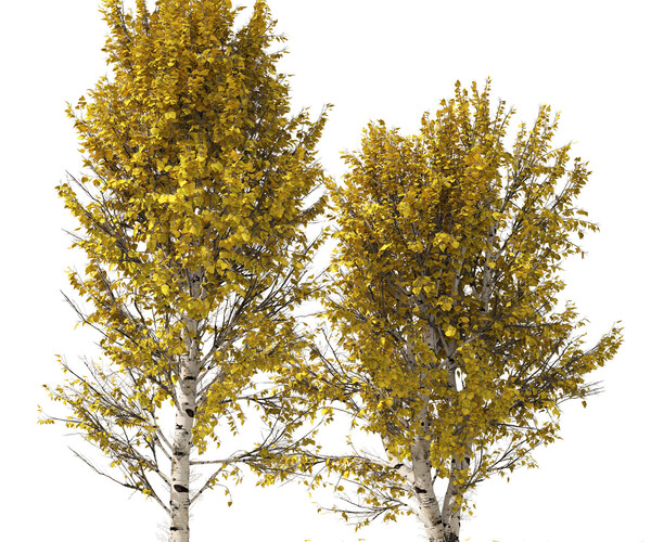 ArtStation - Fall Paper birch Trees | Game Assets