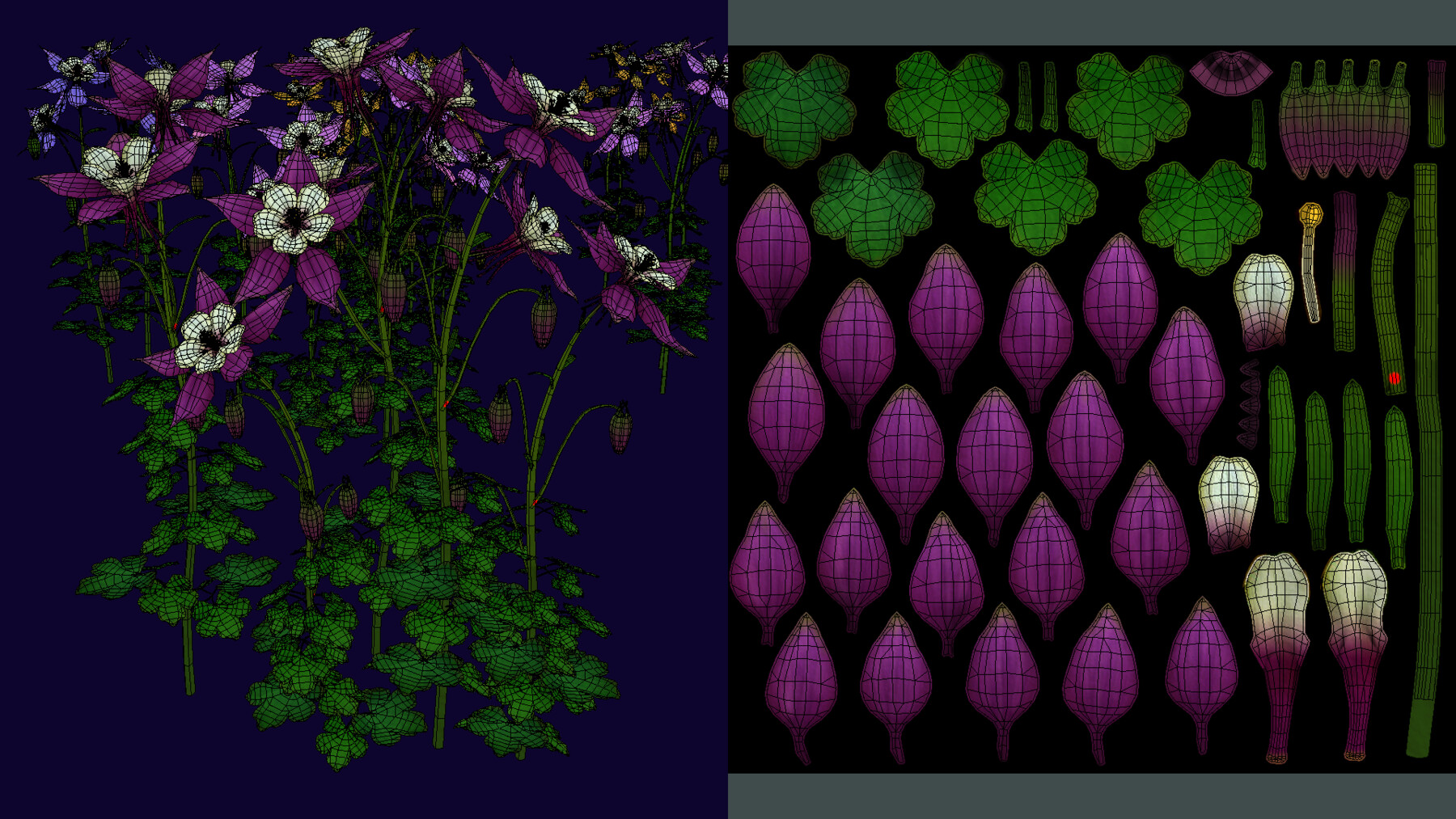 ArtStation - Flower Colorado Columbine | Game Assets