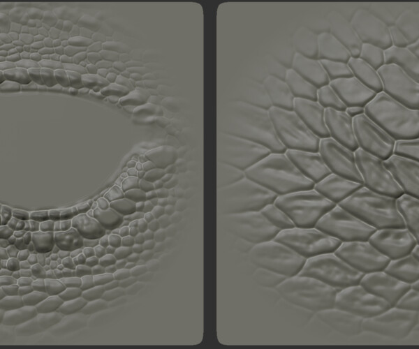 ArtStation - Reptile Scales / Skin Alphas V2 (18 Alphas) (Hand Sculpted ...