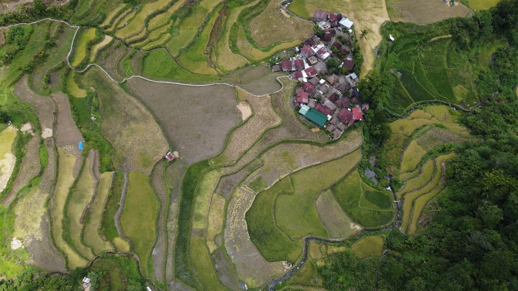 ArtStation - 132 photos of Aerial Small Rice Terraces Village | Resources