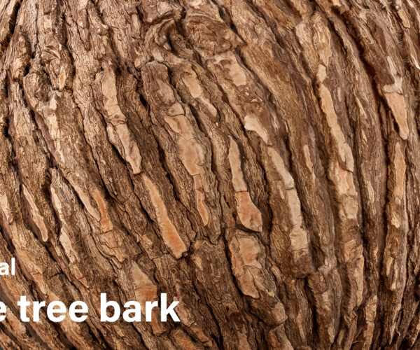 ArtStation - Pine Tree Bark - 8k PBR Textures | Resources
