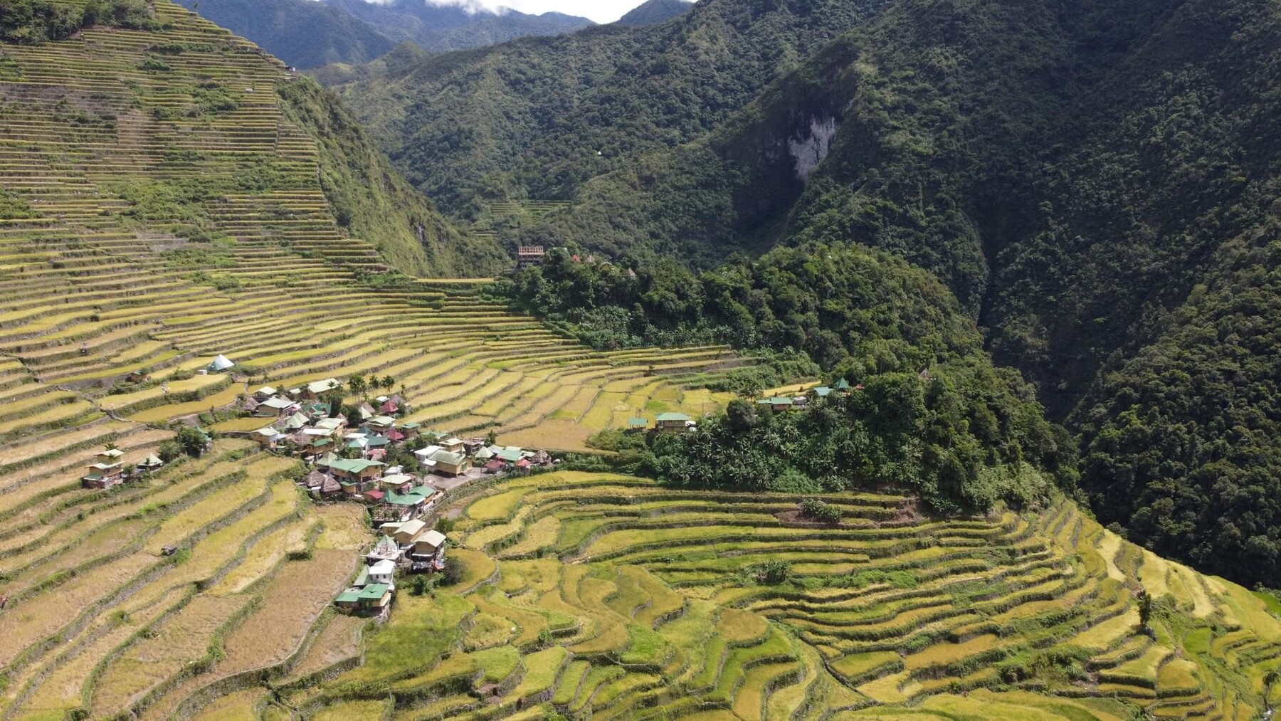 ArtStation - 503 photos of Rice Terraces Asian Village | Resources
