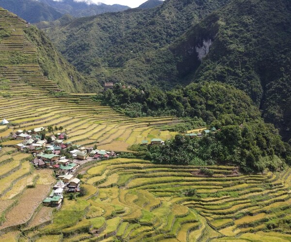 ArtStation - 503 photos of Rice Terraces Asian Village | Resources