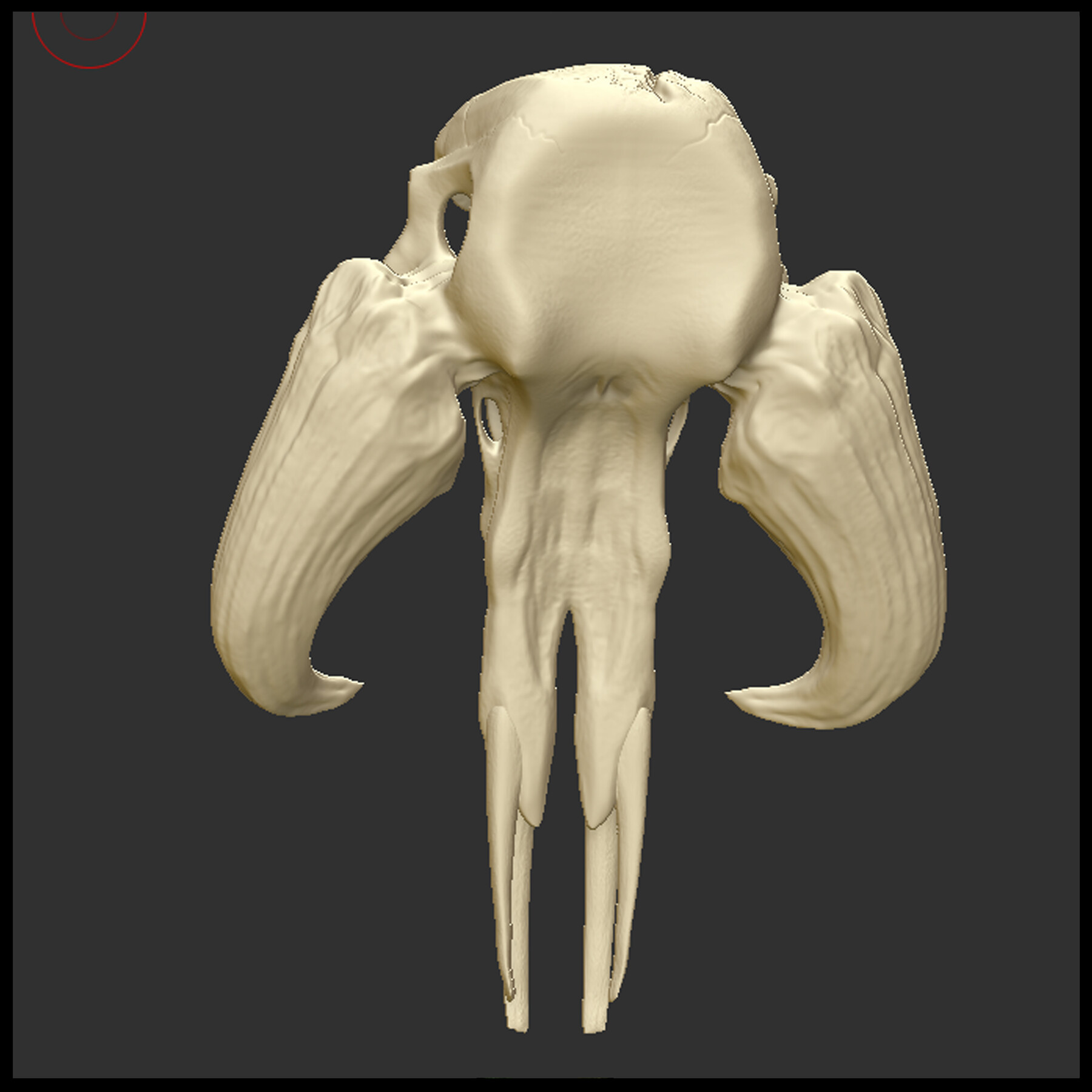 ArtStation - Mandolorian Mythosaur Skull | Resources