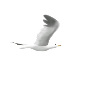 ArtStation - Majestic 2D Seagull Sprite Sheet | Game Assets