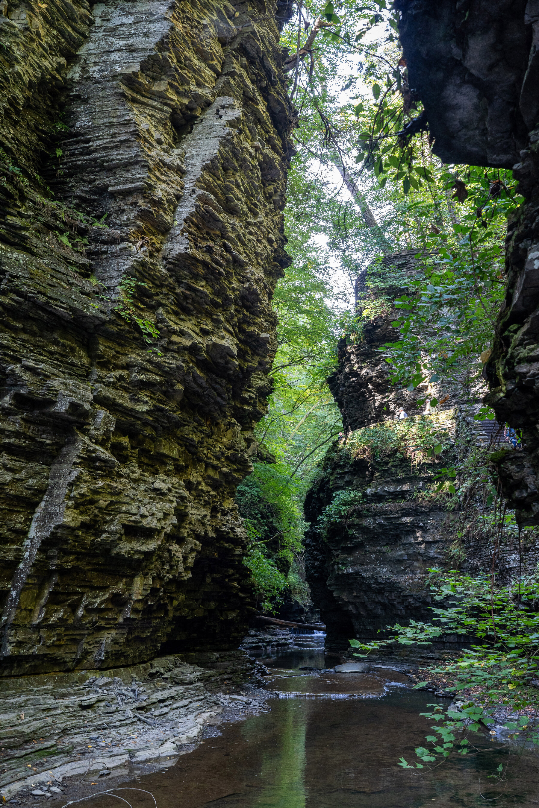 ArtStation - Gorge & Waterfalls Photo Reference Pack [208 photos ...