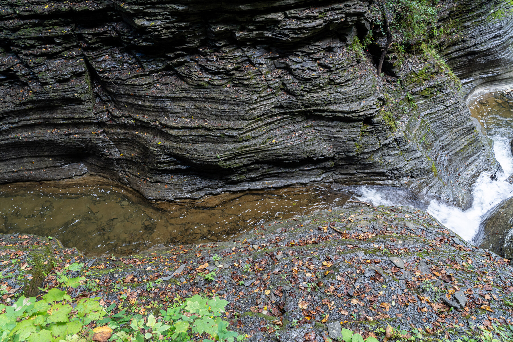 ArtStation - Gorge & Waterfalls Photo Reference Pack [208 photos ...