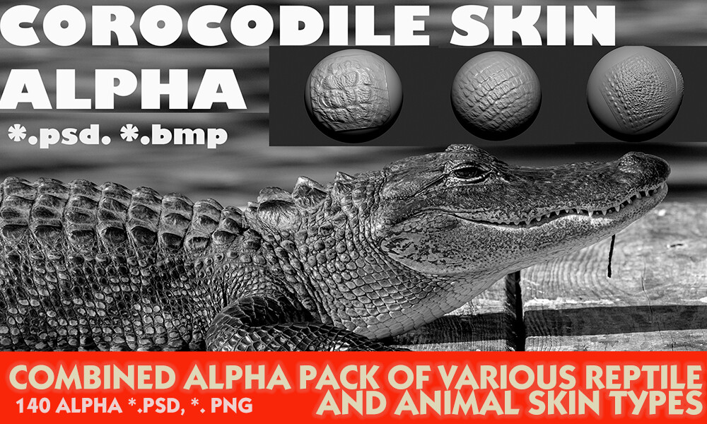ArtStation - Combined alpha package of various reptile and animal skin ...