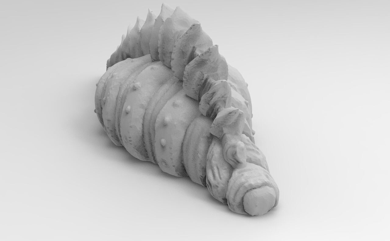 ArtStation - Rare Sea Shell 3D Printable | Resources
