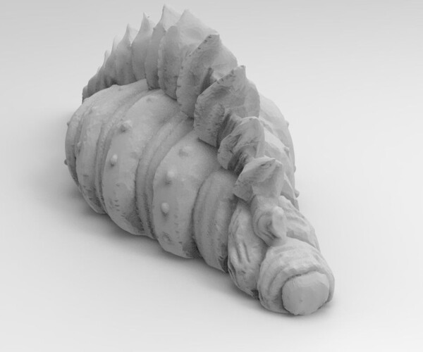 ArtStation - Rare Sea Shell 3D Printable | Resources