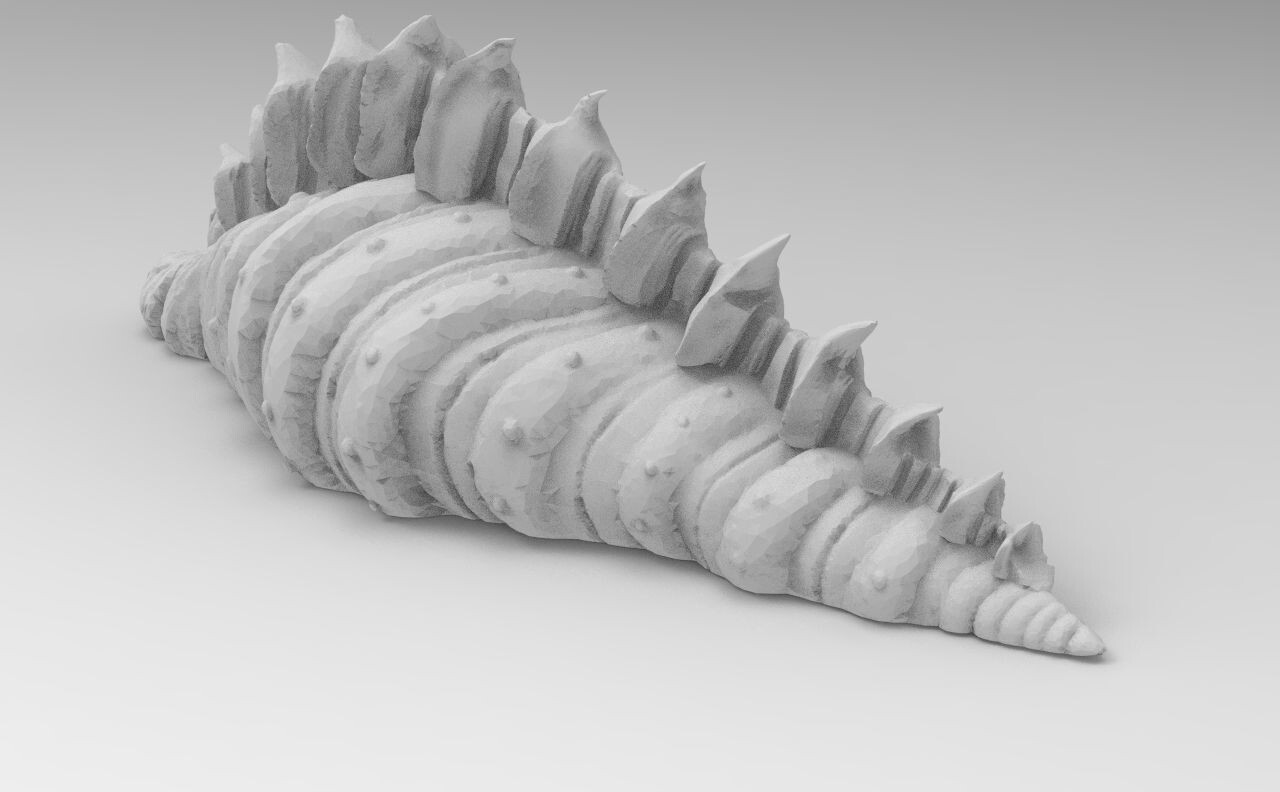 ArtStation - Rare Sea Shell 3D Printable | Resources
