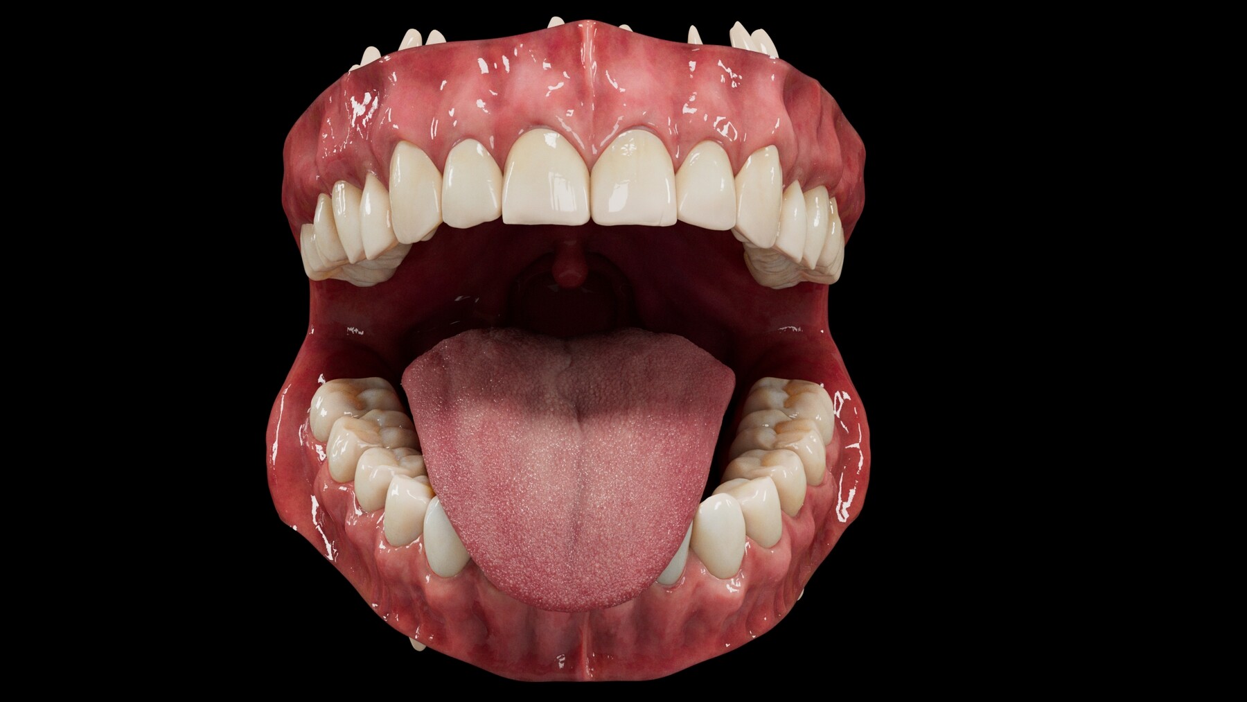 ArtStation - ORAL | Resources