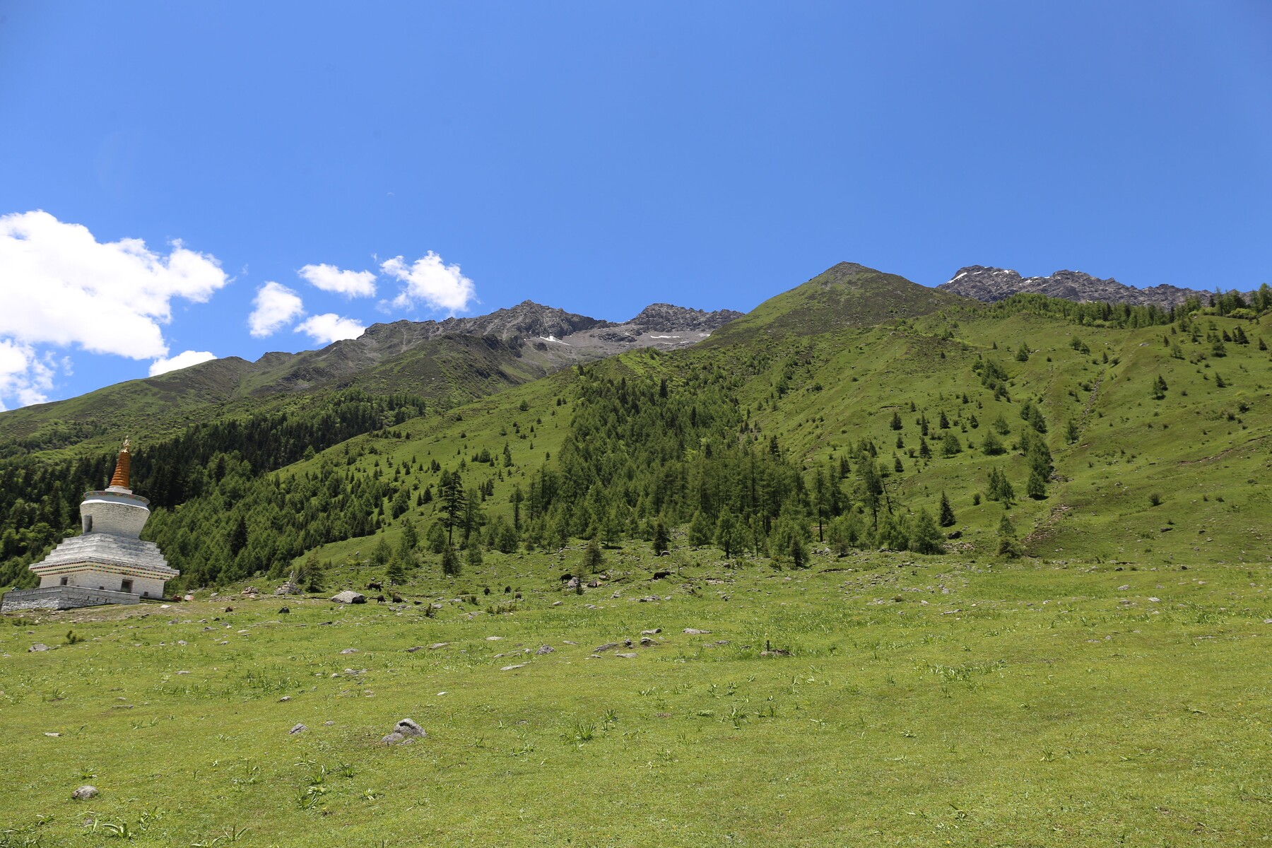 ArtStation - Mountains of western China——Snow mountain、dead tree、meadow ...