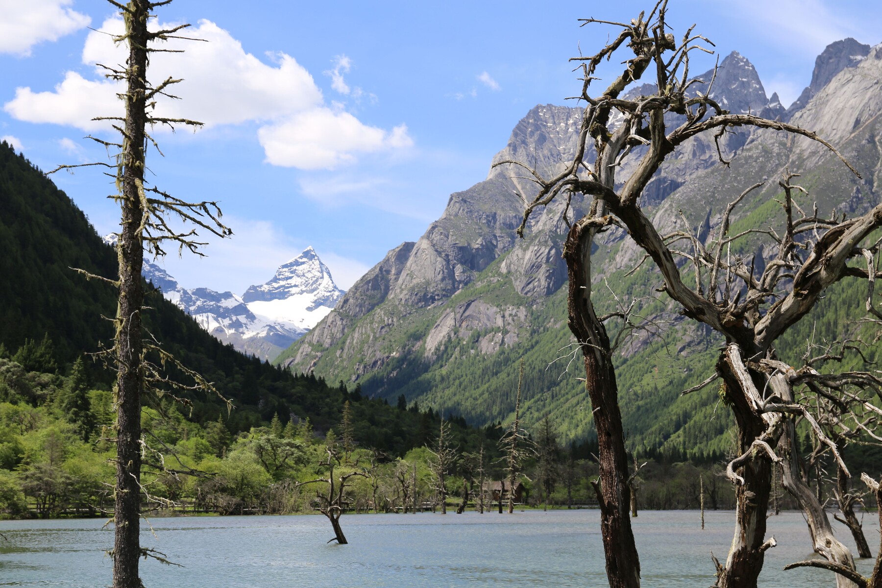 ArtStation - Mountains of western China——Snow mountain、dead tree、meadow ...