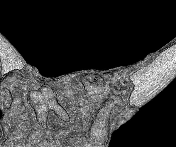 ArtStation - 3D PRINTABLE JEEPERS CREEPERS 2 THROWING STAR SHURIKEN ...